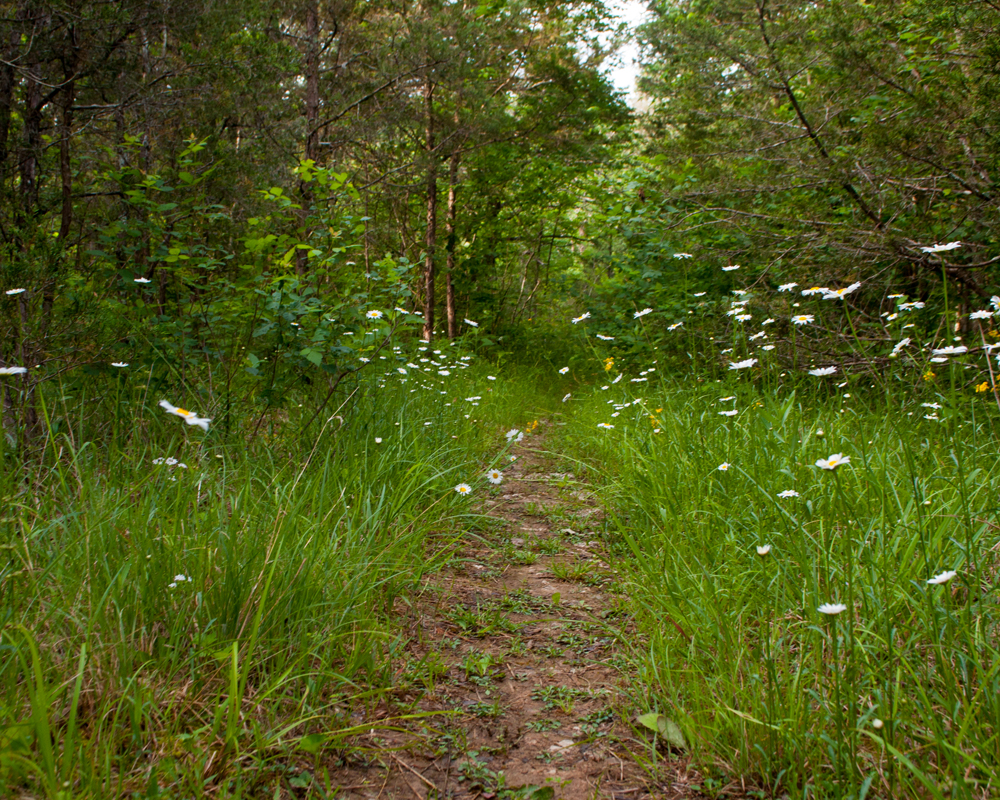 Up next: Summer shenanigans